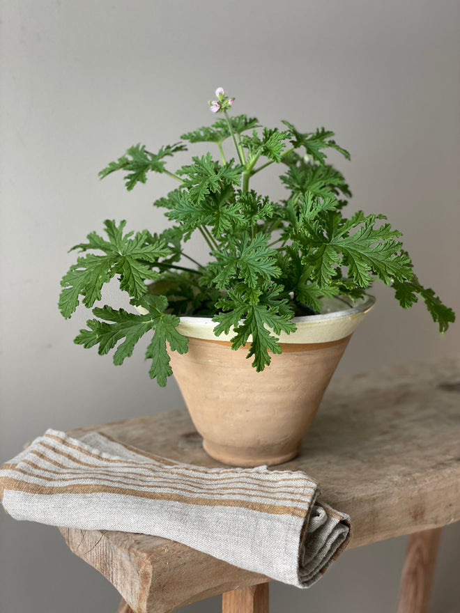 Skålar och fat – HAYVEN